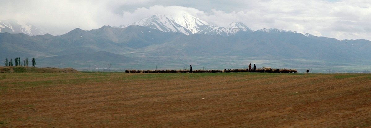 De Meden (1): een fictief koninkrijk - Mainzer Beobachter