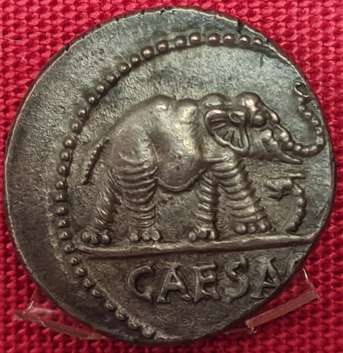 Het einde van de slag bij Thapsus - Mainzer Beobachter