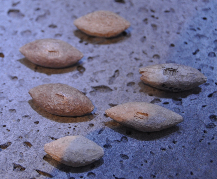 Slingerkogels uit Crap-Ses