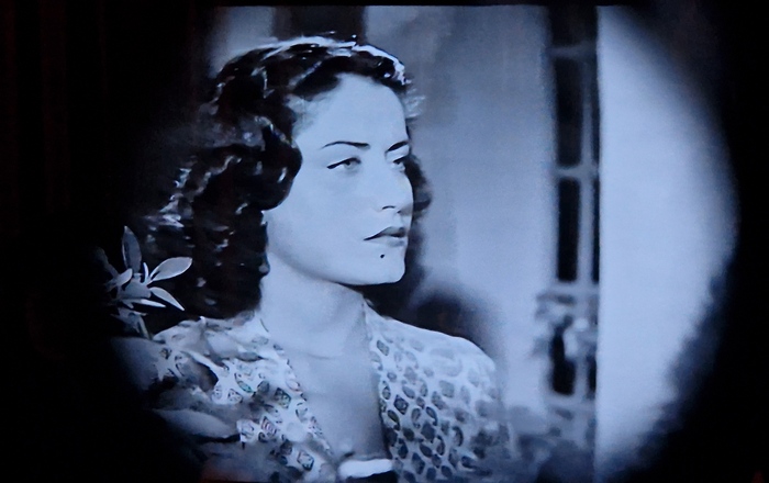 Asmahan, prinses en zangeres - Mainzer Beobachter